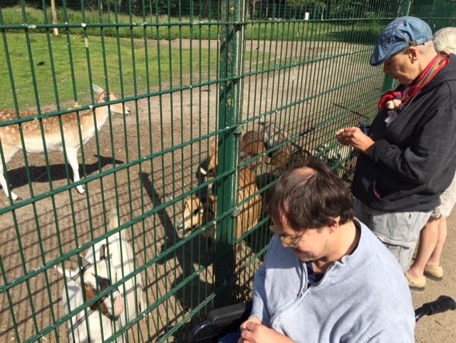 Bewoners De Boomgaard genieten van hun wandeling in het stadspark ...